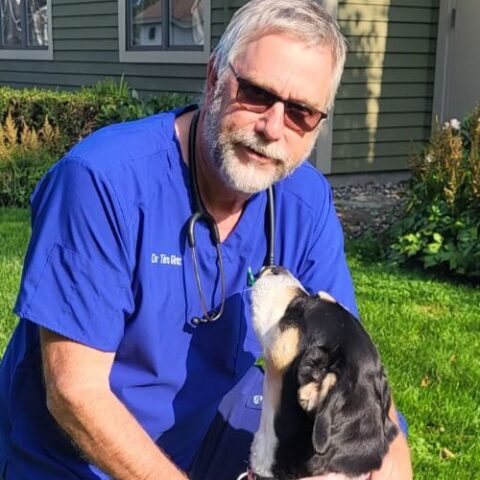 Best Veterinary Hospital In Norway, ME 04268 | Norway Veterinary Hospital