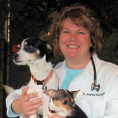 Veterinarian In Norway, ME 04268 | Norway Veterinary Hospital