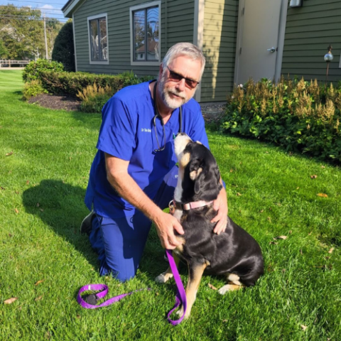 Veterinarian In Norway, ME 04268 | Norway Veterinary Hospital