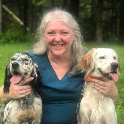 Veterinarian In Norway, ME 04268 | Norway Veterinary Hospital